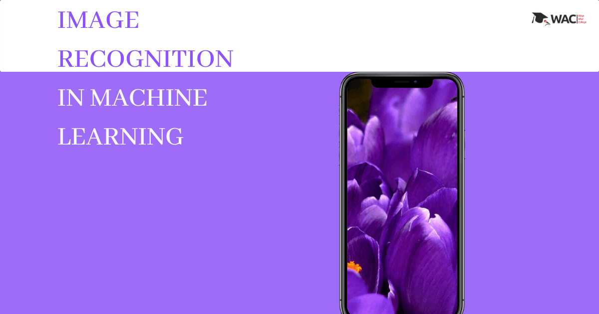What Is Image Recognition In Machine Learning What After College